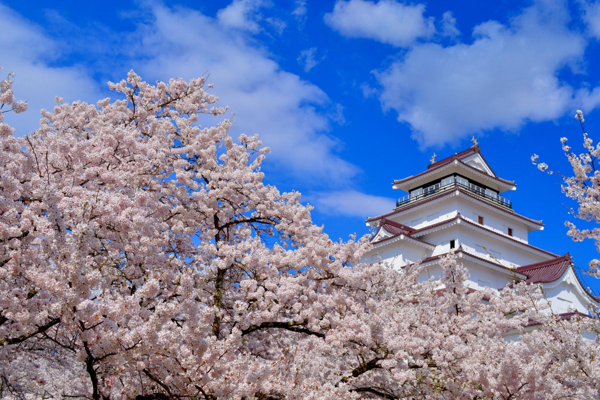 "TRAVELMART is the most essential website for visiting Tohoku ...